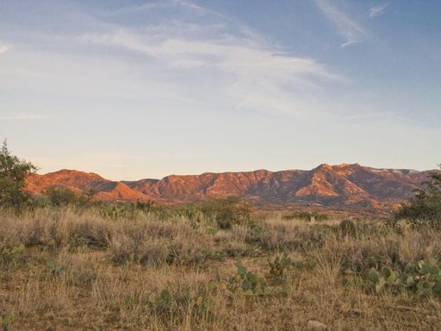 E Calle Rosa Linda Unit 2, Tucson, AZ 85739