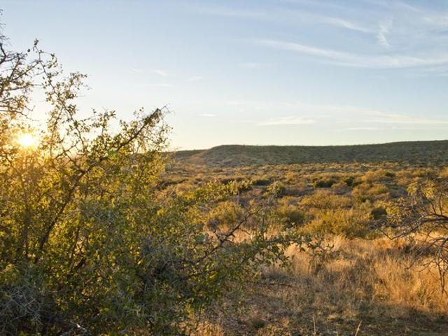 E Calle Rosa Linda Unit 3, Tucson, AZ 85739