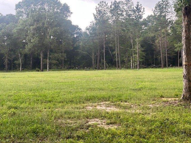 E Capps Rd, Livingston, TX 77351