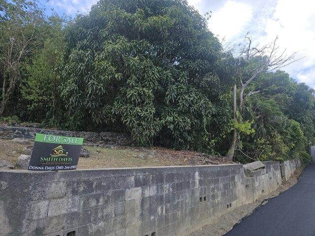 E Caret Bay Lns, Saint Thomas, Plot For Sale