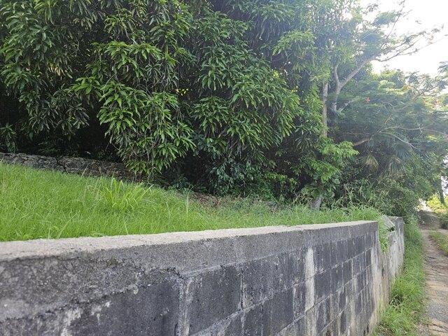 E Caret Bay Lns, Saint Thomas, Plot For Sale