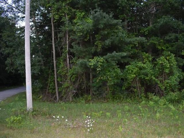 E Cedar Lake Dr, Greenbush, MI 48738