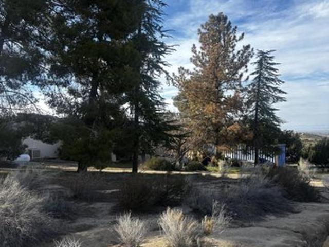 E Cor 126 W14 Ave Ste Pav, Pearblossom, CA 93553
