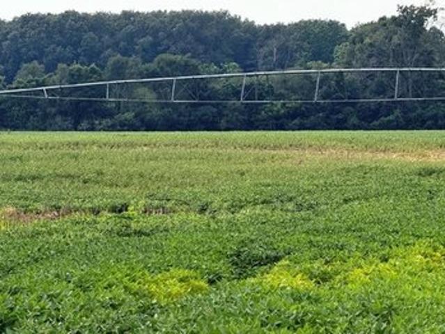E County Road 1200 E, Grovertown, IN 46531