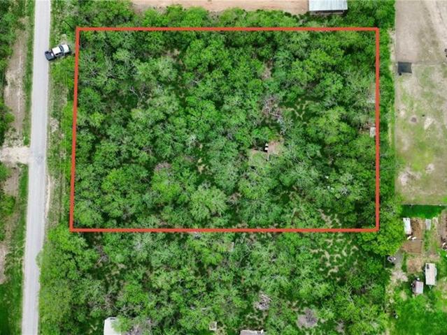E County Road 2206 Lot 30, Kingsville, TX 78363