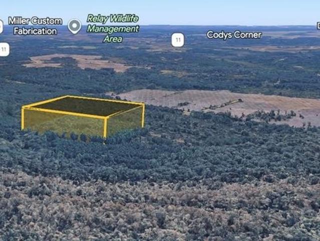 E County Road 90, Bunnell, FL 32110