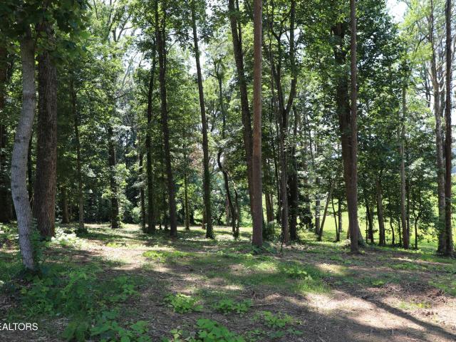 E Crestview Drive Lot 1, Madisonville, TN 37354