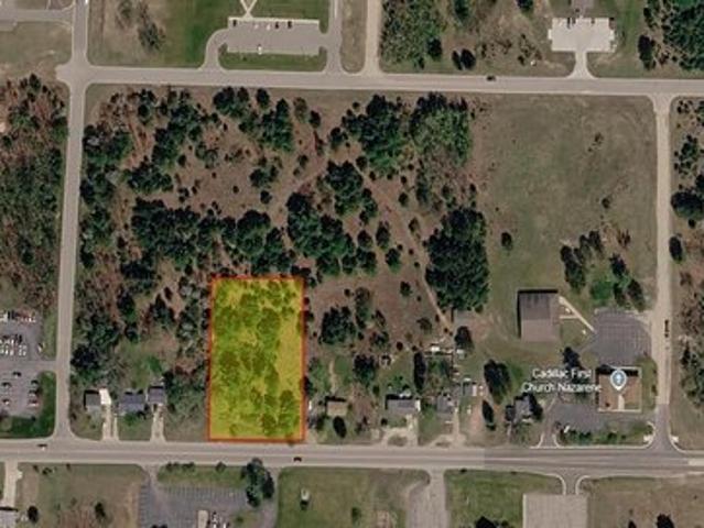 E Division St, Cadillac, MI 49601