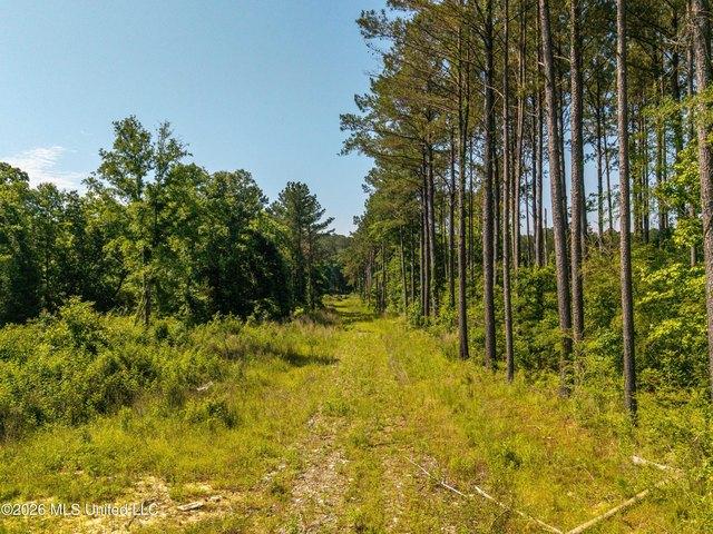 E Doc Clark Rd, Morton, MS 39117