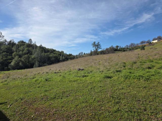 E Elk Trail