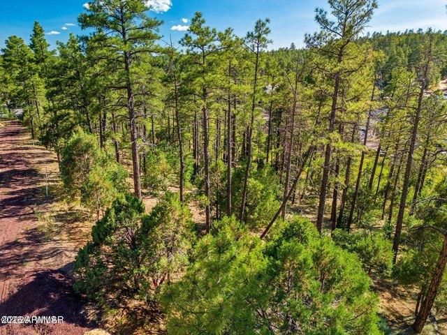 E Ellsworth Unit 3, Show Low, AZ 85901