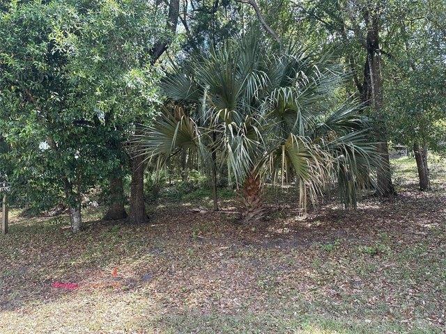 E Elm Dr, Orange City, FL 32763