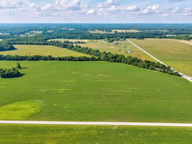 E Farm Road 166, Rogersville, MO 65742