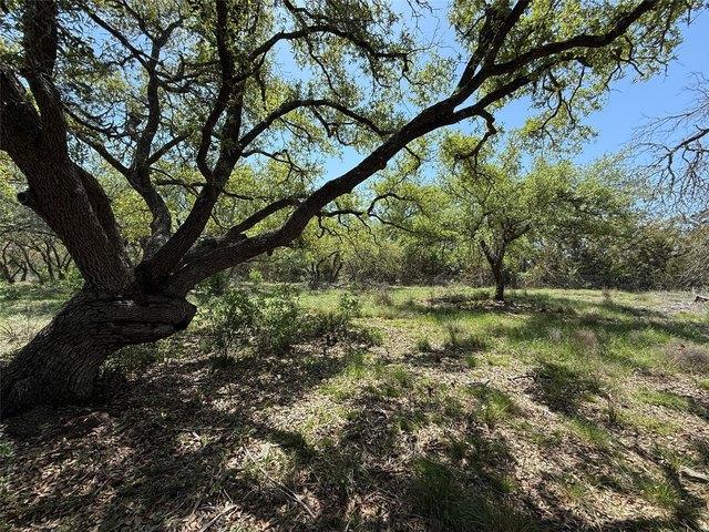 E Flying Owl Dr Lot 106, Johnson City, TX 78636