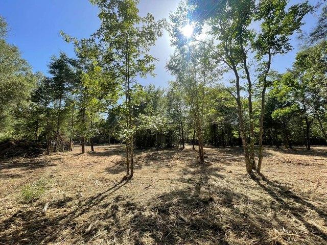 E Fm 942 Lot 5, Livingston, TX 77351