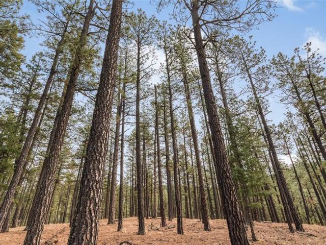 E Forest Dr Lot 73, Rociada, NM 87742