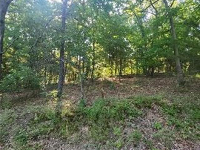 E Forest Ln Lot 14, Owensville, MO 65066