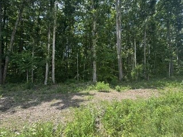 E Fork Ln, Crawford, TN 38554