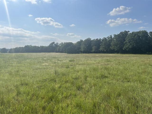 E Forrest Hills & S Indian Meridian Road