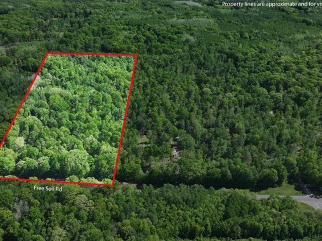 E Free Soil Rd Parcel C, Free Soil, MI 49411