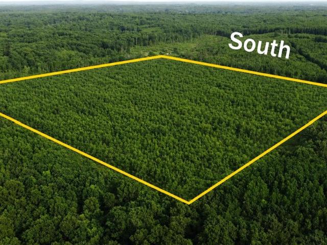E Freesoil Road # 40 acres