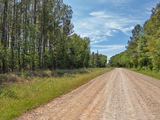 E G F Ball Rd, Louisburg, NC 27549