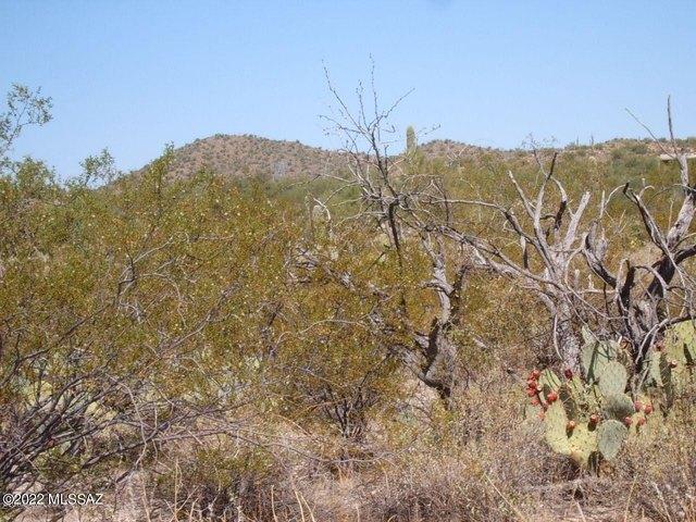 E Gasline Rd Unit 120AC, Marana, AZ 85658