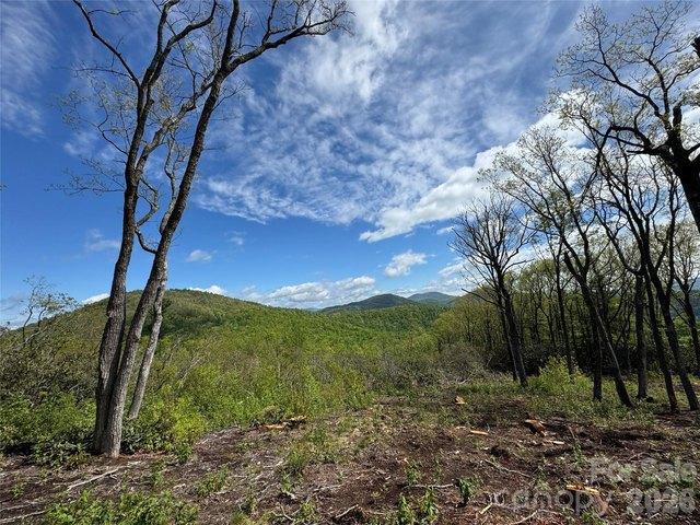E Garden Trl Unit 45, Hendersonville, NC 28792