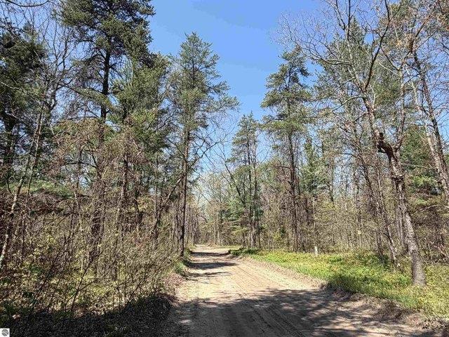 E Gladys Ln, Idlewild, MI 49642