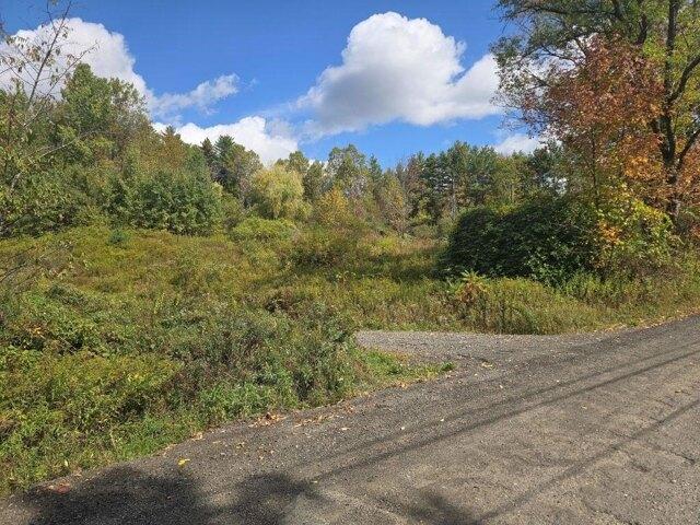 E Green Mountain Rd, Claremont, Plot For Sale
