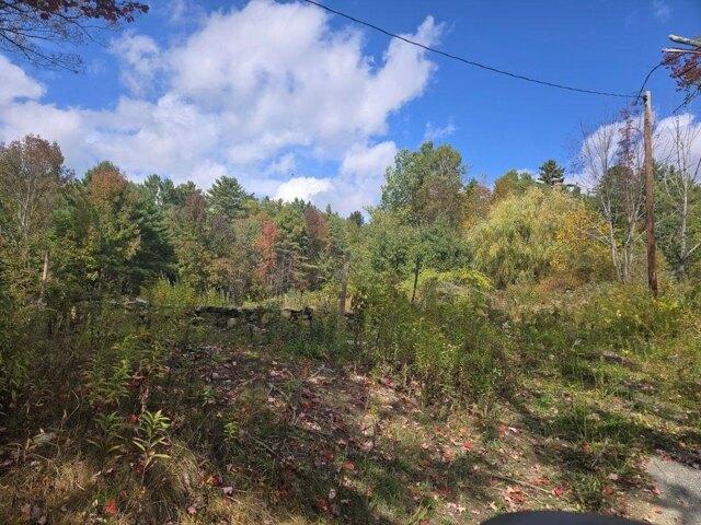 E Green Mountain Rd, Claremont, Plot For Sale