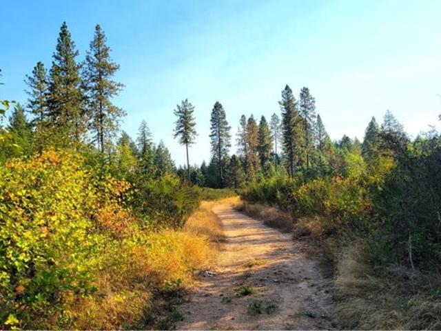 E Hunter Rd Unit E, Veneta, Plot For Sale