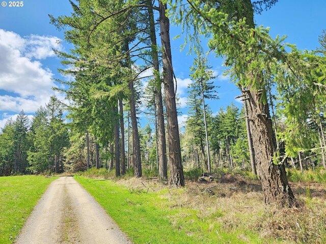 E Hunter Rd Unit,veneta, Plot For Sale