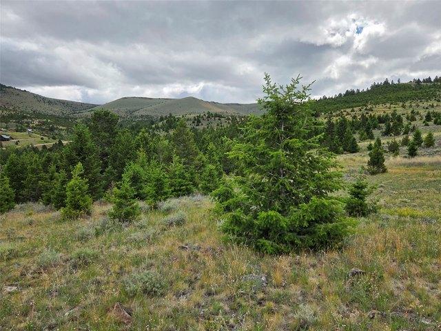 E Harrison St, Virginia City, MT 59755