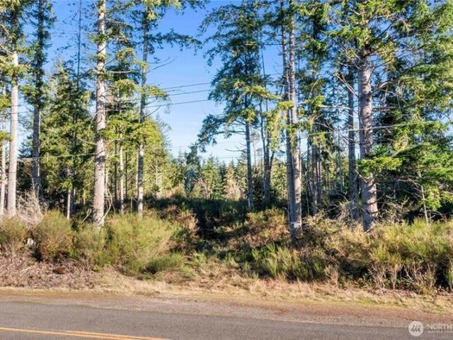 E Harstine Island Rd S, Shelton, WA 98584