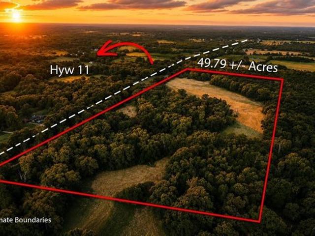 E Highway 11, Winnsboro, TX 75494
