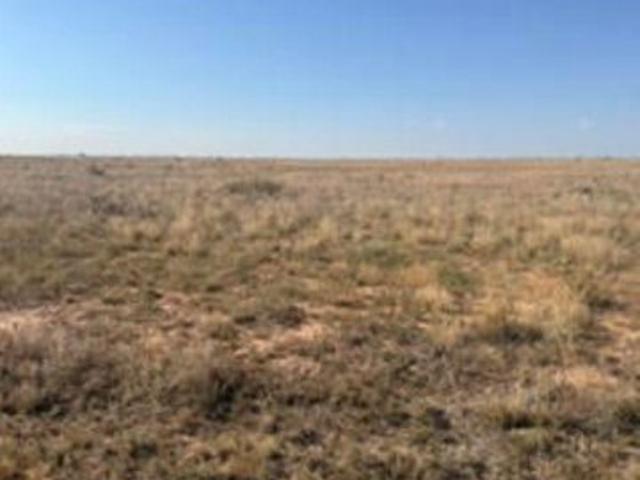 E Honolulu Rd, Roswell, NM 88201