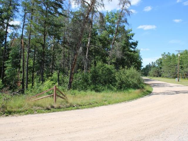 E Jackpine Loop Lot 67 68, Mio, MI 48647