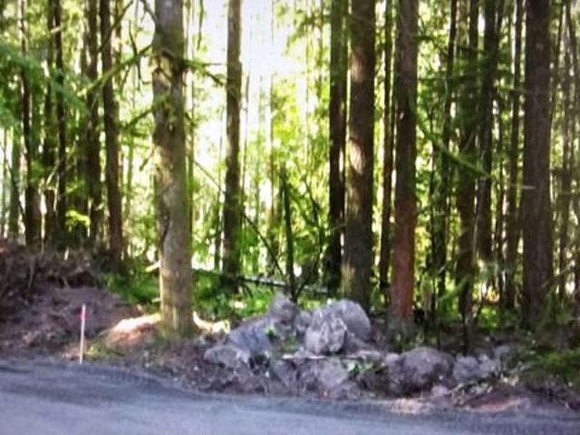 E John Lake Rd, Rhododendron, OR 97049