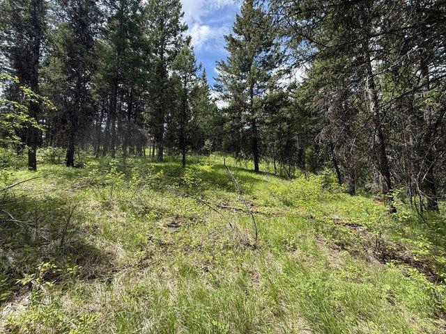 E Knob Hill Rd, Republic, WA 99166