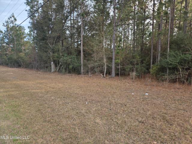 E Lake Cypress Drive, Perkinston, MS 39573