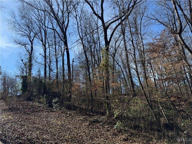 E Lake Dr, Tuscaloosa, AL 35405