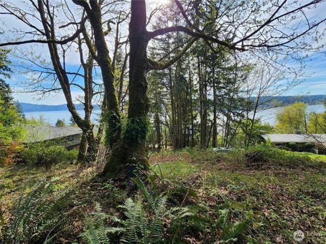 E Lake Sammamish Pkwy NE, Sammamish, WA 98074