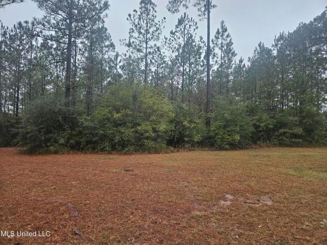 E Lake, Perkinston, MS 39573 | MLS #4133