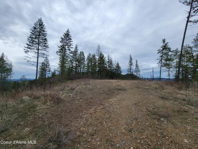 E Lamb Rd, Harrison, ID 83833 | MLS #26 2476