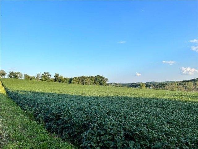 E Land Beaver Dam Rd Lots 1D & 3, New Galilee, PA 16141