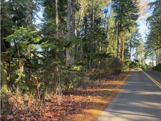 E larch mountain rd