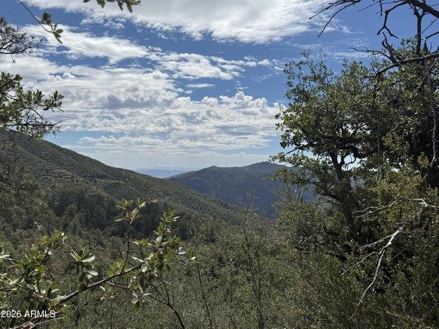 E Laurita Rd, Crown King, AZ 86343