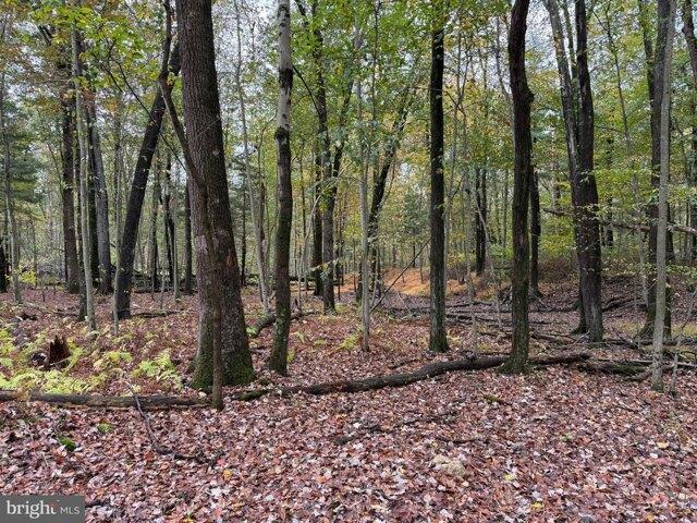 E Locust St, Mount Holly Springs, Plot For Sale
