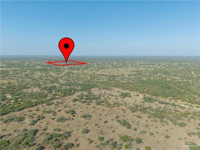 E Puerto Rico Rd, Linn, TX 78563